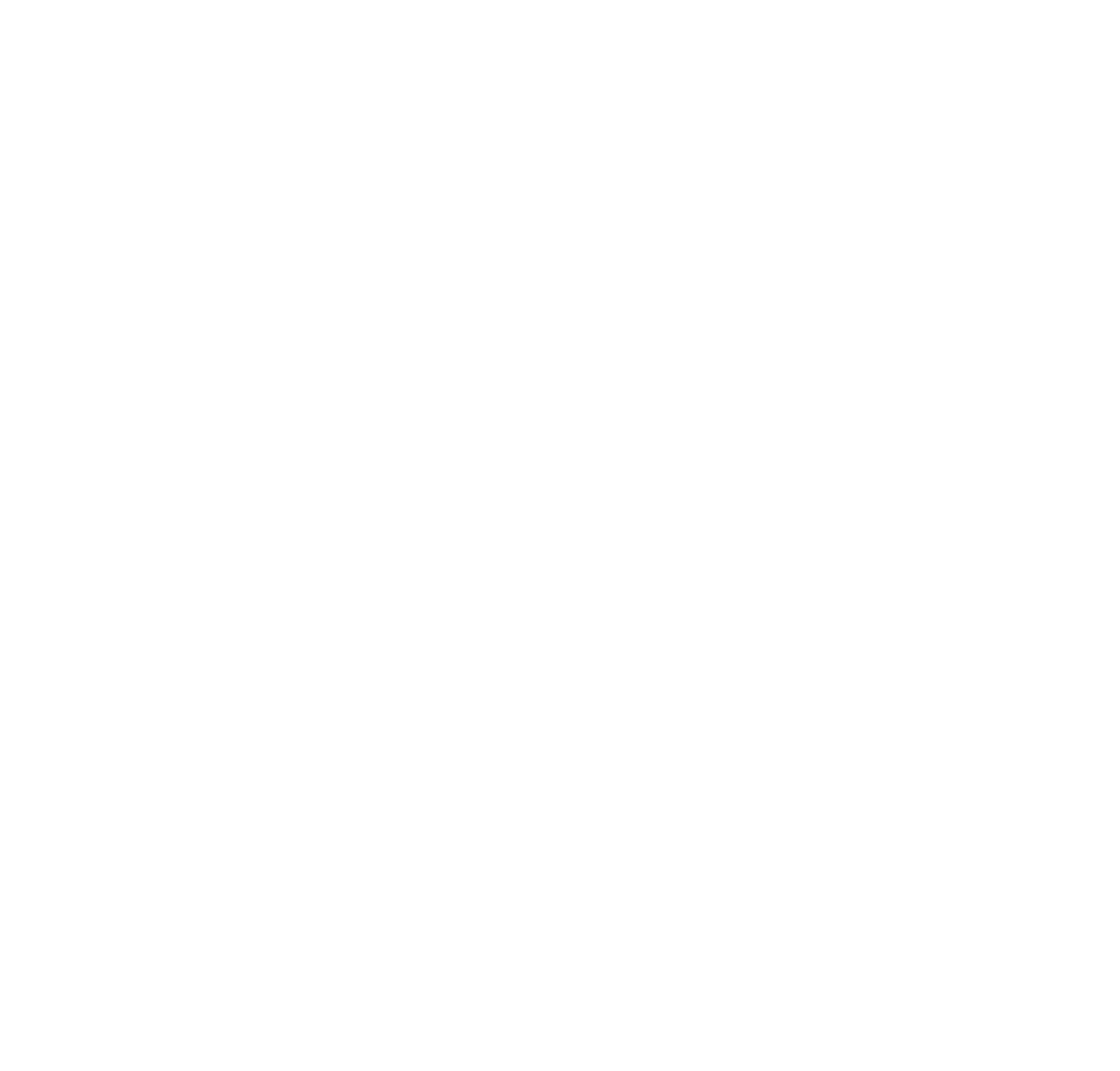 OKOHO-Consulting